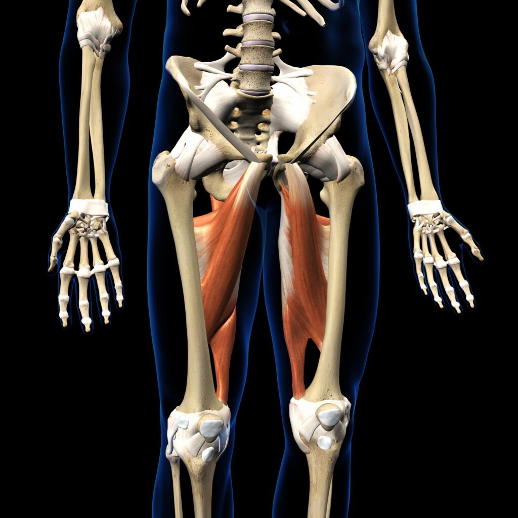 Optimizar el tratamiento del dolor inguinal: Estrategias prácticas para ...