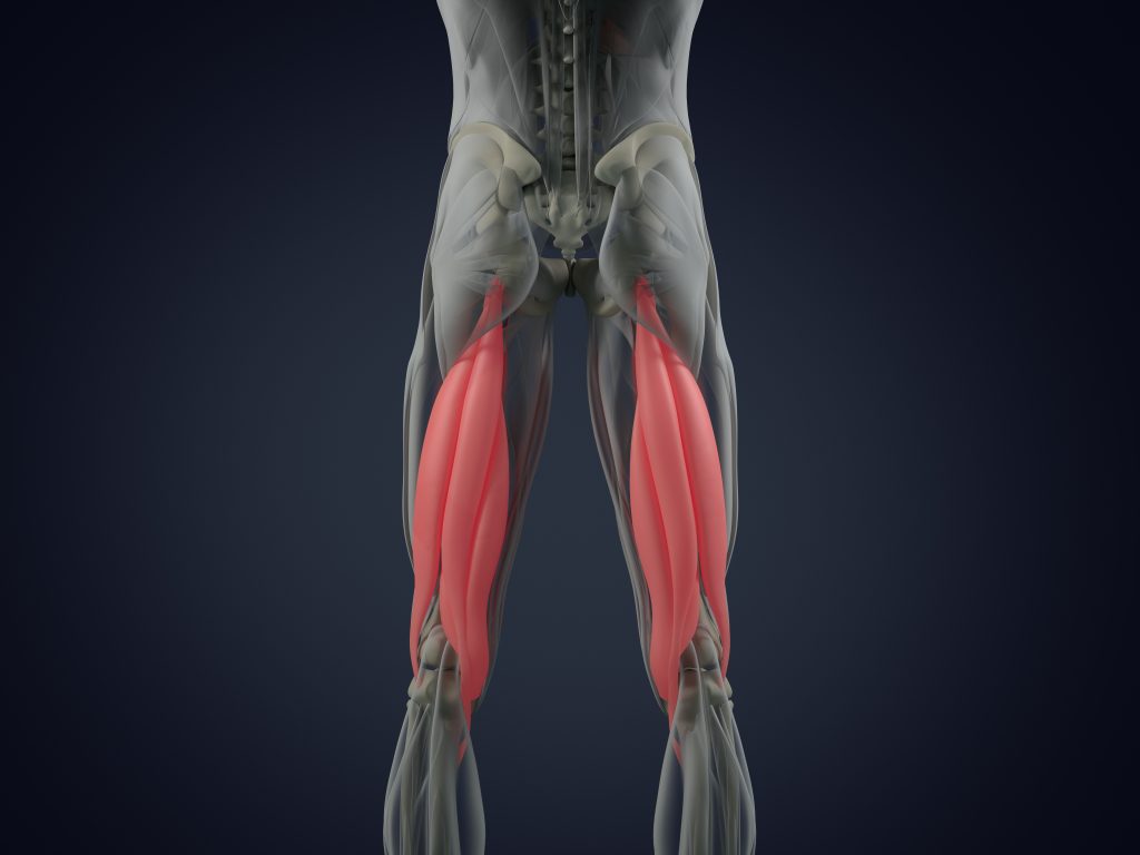 Progression du Nordic Harmstring - Physio Network