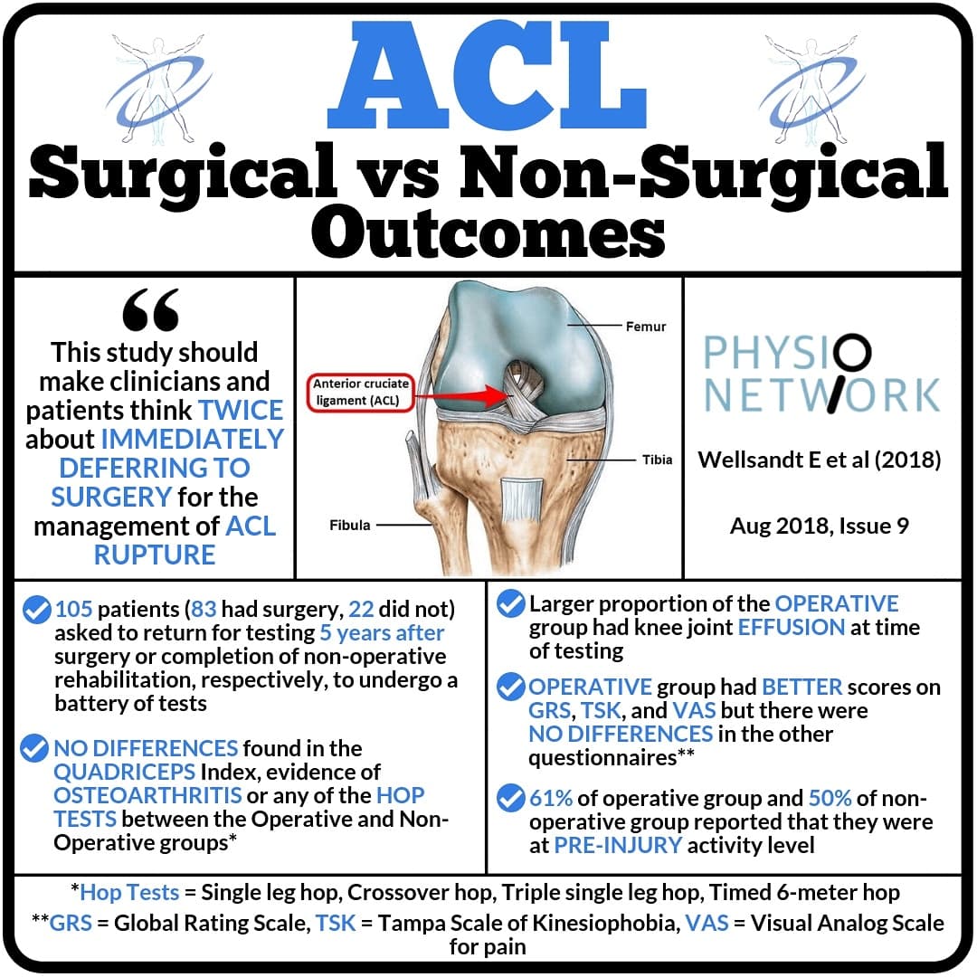 Infographics - Physio Network