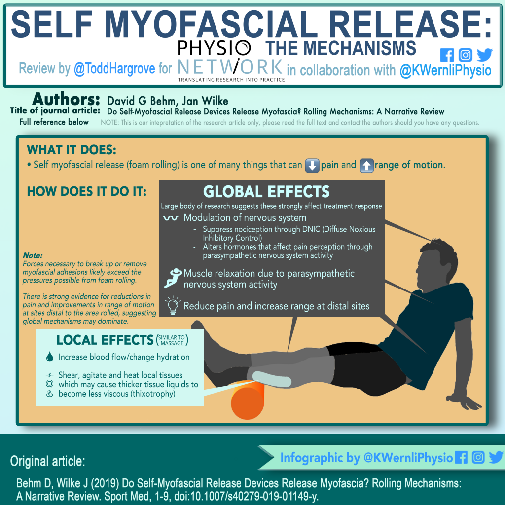 Self Myofascial Release: The Mechanisms — Physio Network