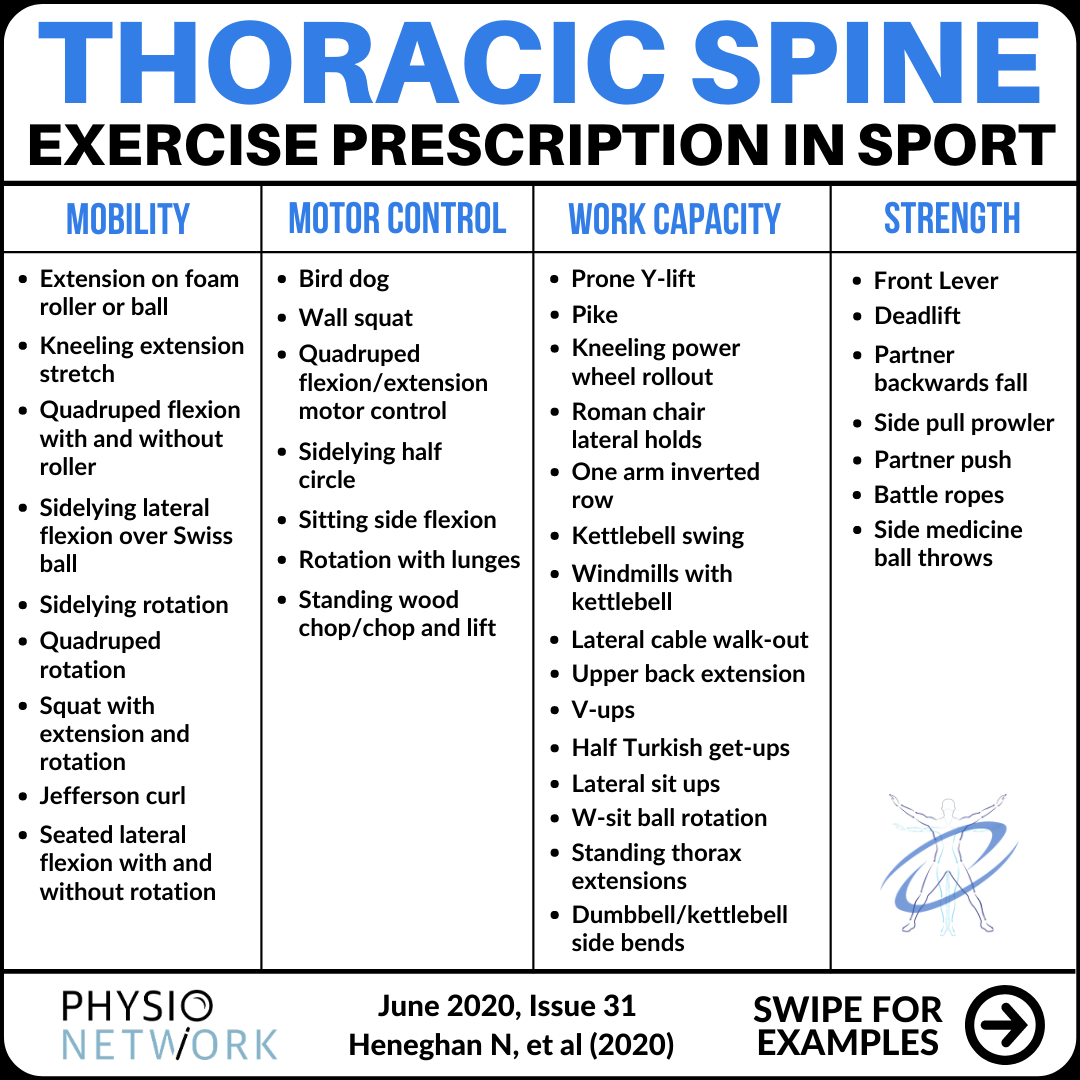 Thoracic Spine — Physio Network