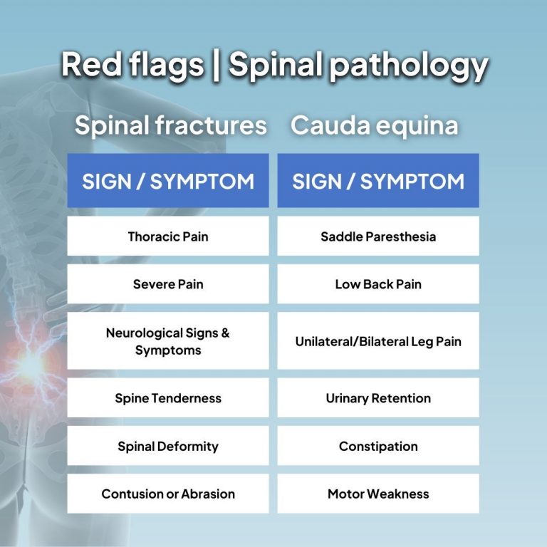 Infographics - Physio Network