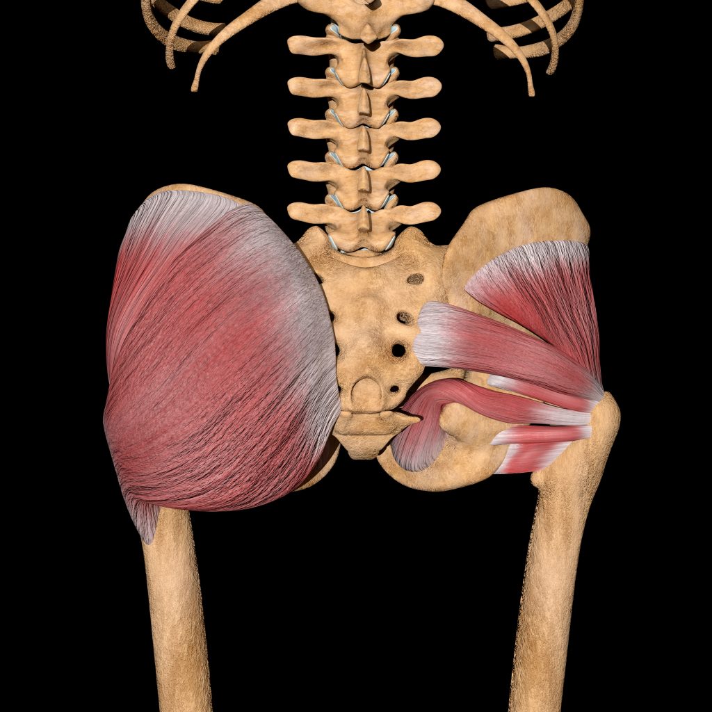 Navigating The Complex Path Of Deep Gluteal Syndrome: A Case Study ...
