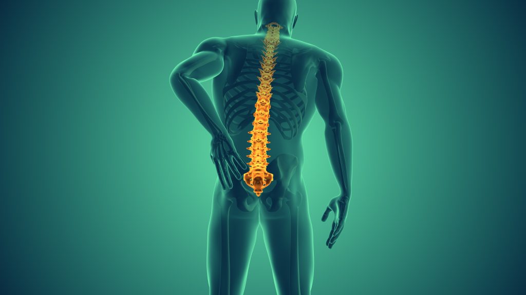 Low Back Pain: Returning To Flexion-based Activities — Physio Network