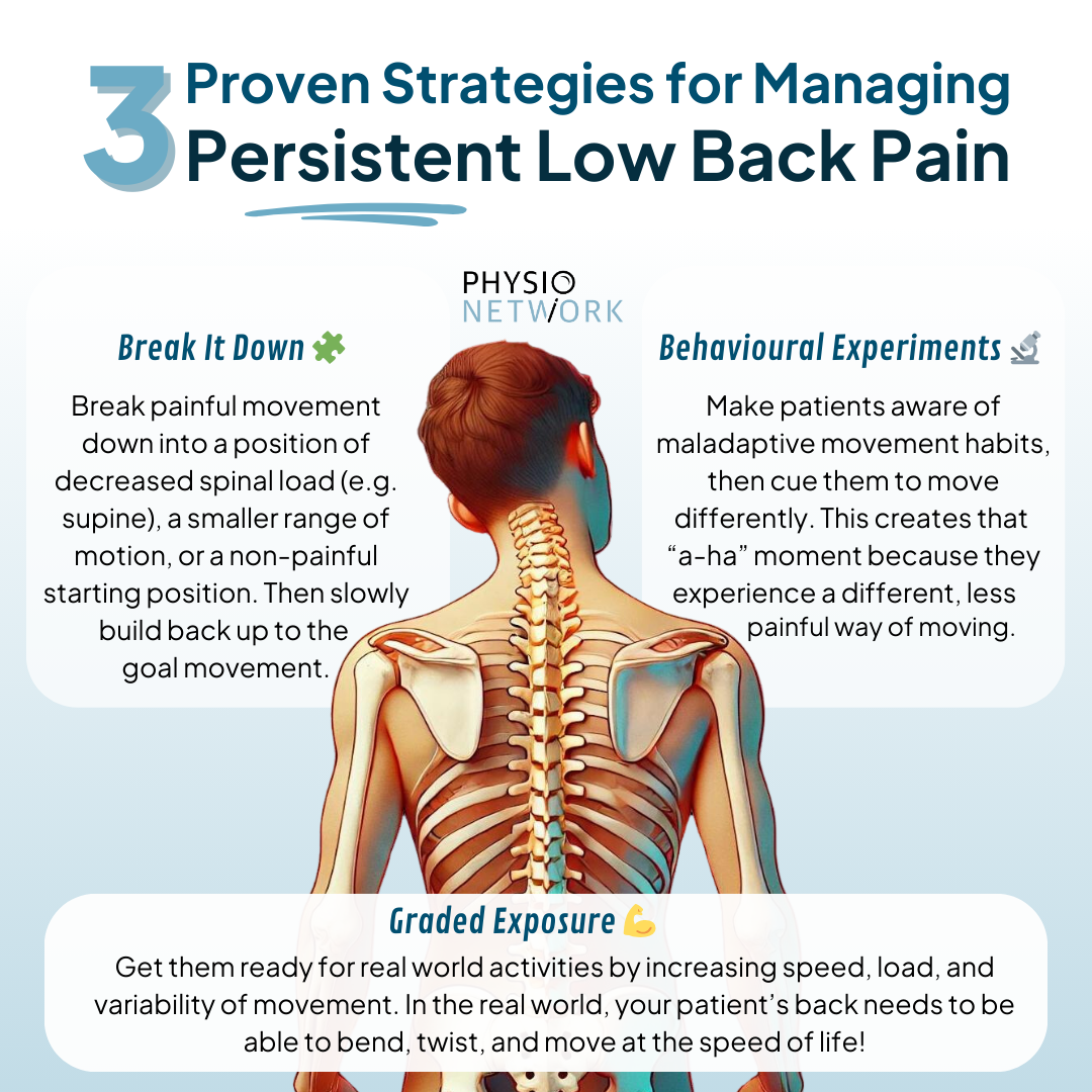 Try These When Managing Persistent Back Pain — Physio Network