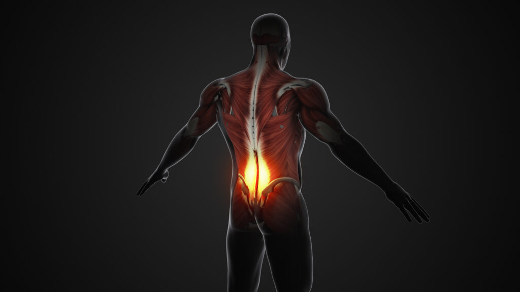 Debunking “core Stability”—evidence-based Treatment For Low Back Pain ...