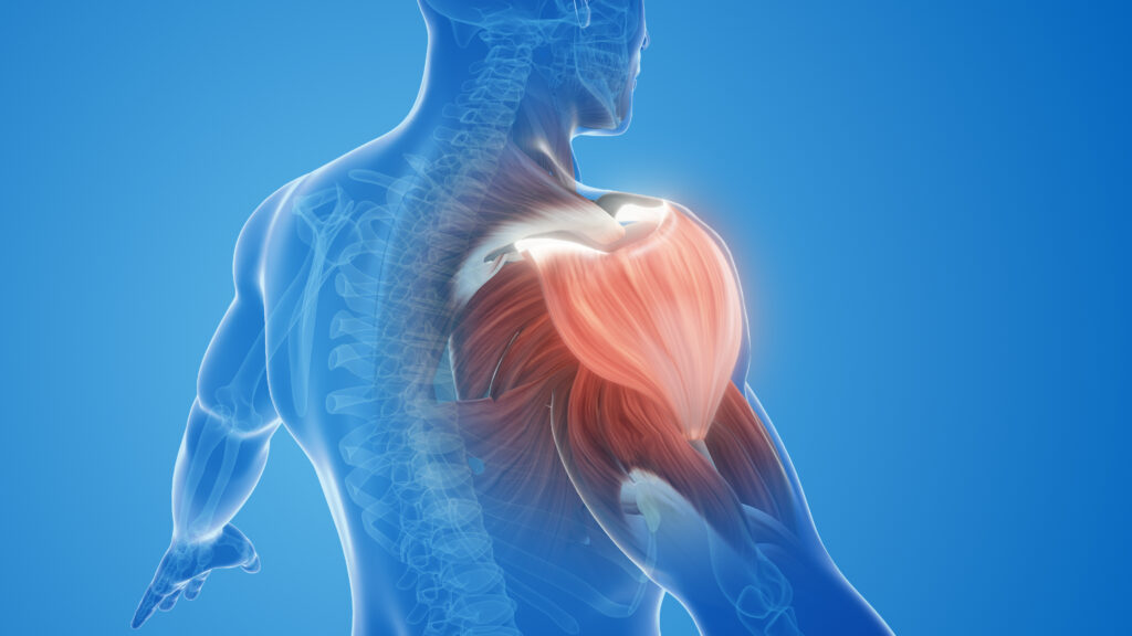 3 Expert-Backed Tips To Strengthen Your Shoulder Assessment — Physio ...